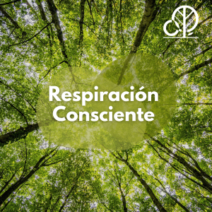 Respiración Consciente: Una Herramienta Eficaz para Manejar la Ansiedad ...
